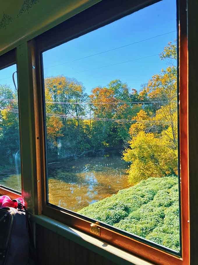 Fall foliage framed by a train window: Maryland's autumn show without the hassle of finding parking.