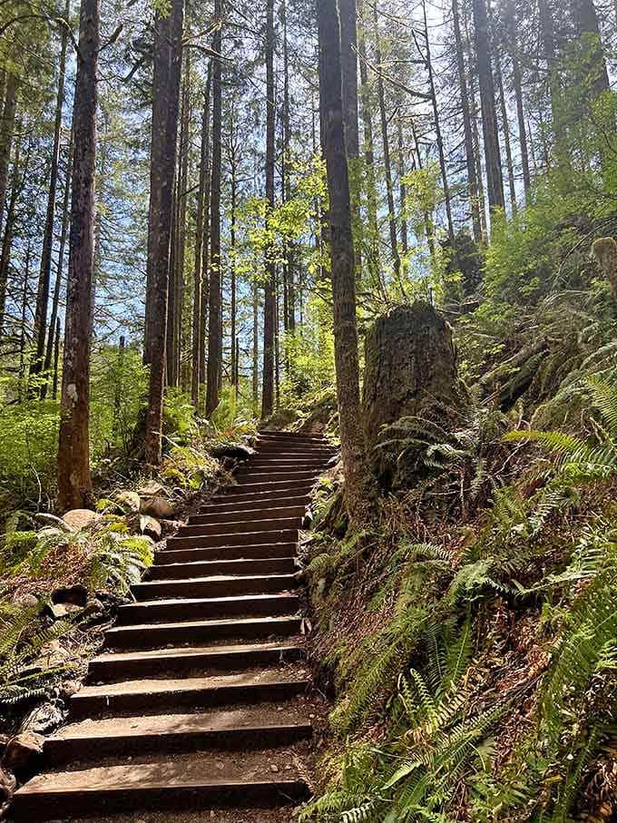 These steps wind upward through the forest, each one bringing you closer to views that will make your Instagram followers jealous.
