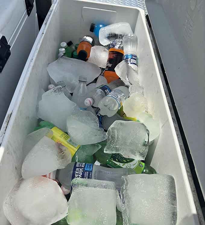 Cold drinks on ice, because even the simplest pleasures deserve to be served at the perfect temperature.