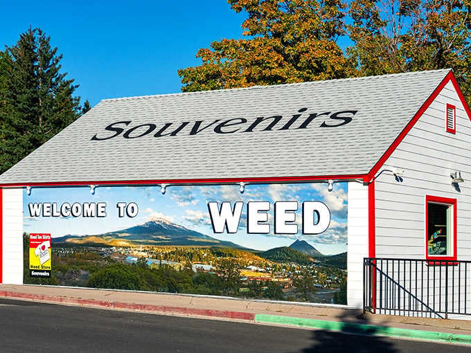 This welcome mural says it all: Weed knows exactly what you're thinking and they're totally fine with it.