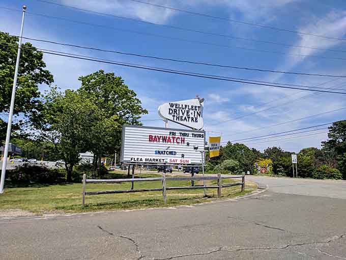 Classic drive-in movies under Cape Cod stars create memories your grandkids will actually want to hear about.