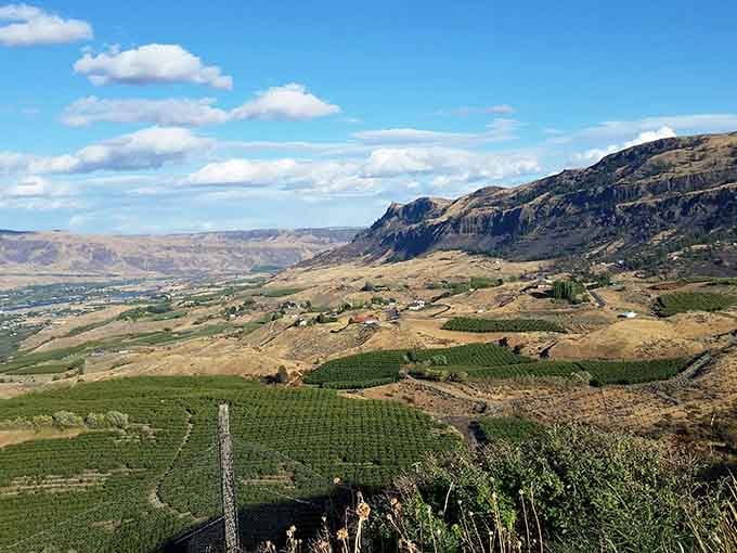 Surrounding orchards and vineyards produce wines that taste expensive but cost reasonably, making retirement significantly more enjoyable daily.