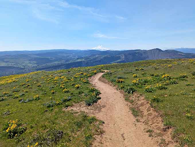Coyote Wall trails stretch toward distant peaks, offering wildflower displays that make your phone's camera weep with inadequacy.