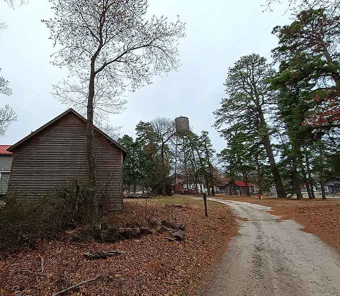 Sandy paths wind past weathered buildings where you can almost hear echoes of bustling harvest seasons.