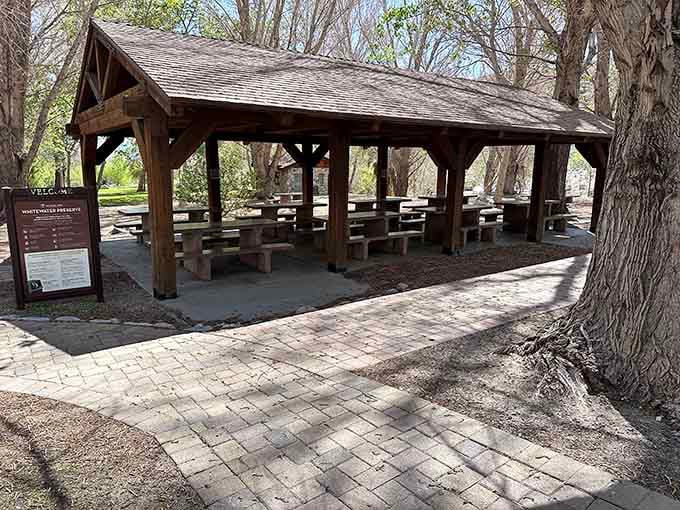 This shaded pavilion offers front-row seating to nature's show, no reservation required and completely free of charge.