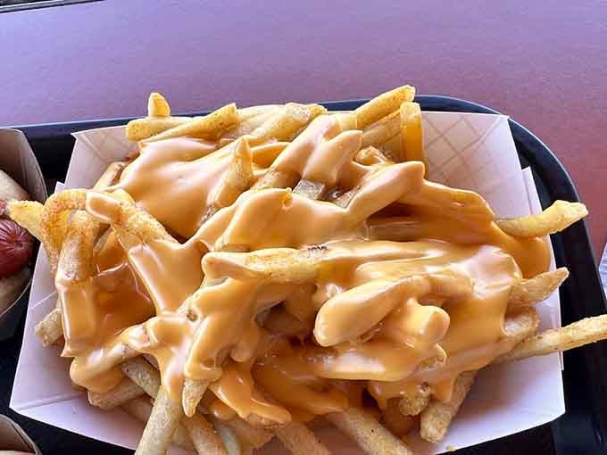 Cheese fries done right: crispy, golden, and drowning in enough cheese to make your cardiologist write strongly-worded letters.