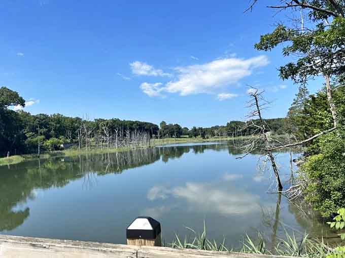 Tranquil waters reflect surrounding forests like nature installed mirrors specifically for your viewing pleasure and photography needs.
