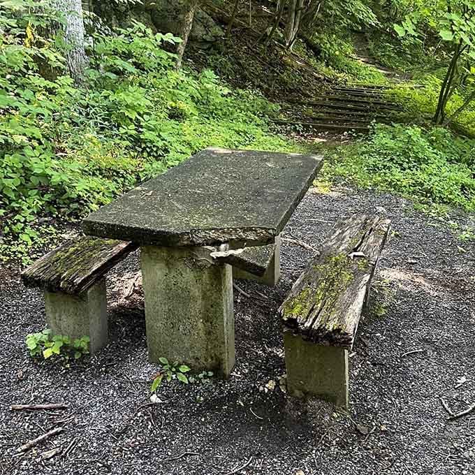 This weathered picnic table has hosted countless trail snacks and post-hike victory sandwiches over the years.