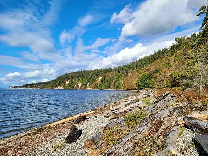 Driftwood logs line the shore beneath those striking sandstone cliffs that glow golden in the afternoon light.