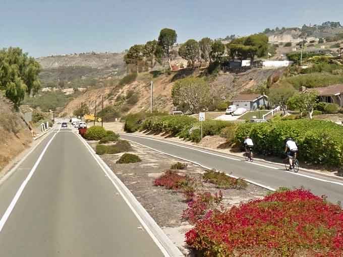 Vibrant flowers border this coastal road, adding splashes of color that rival any garden you've ever carefully tended.