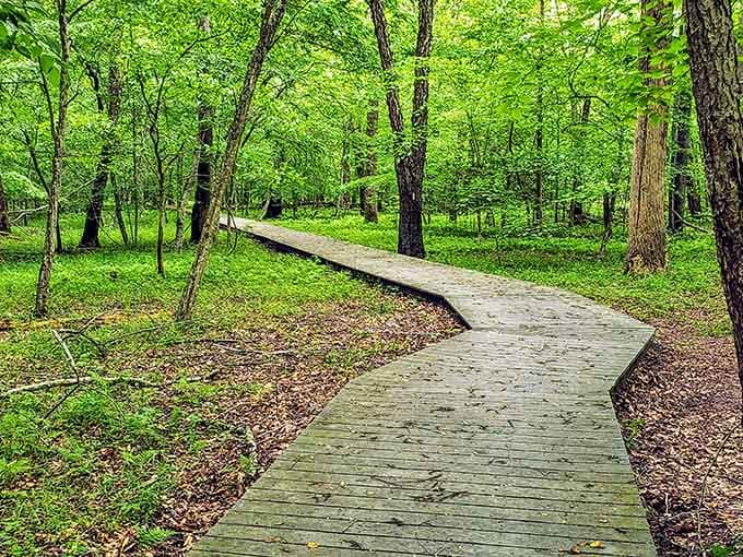 Historic stone structure nestles among autumn-colored trees, offering shelter and stories within forest depths.