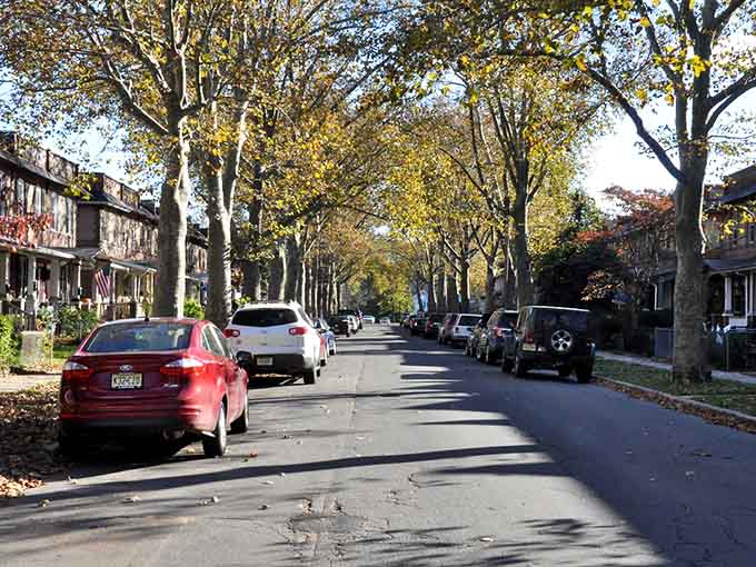Fall colors dance across the pavement while mature trees stand guard over this tranquil residential street.