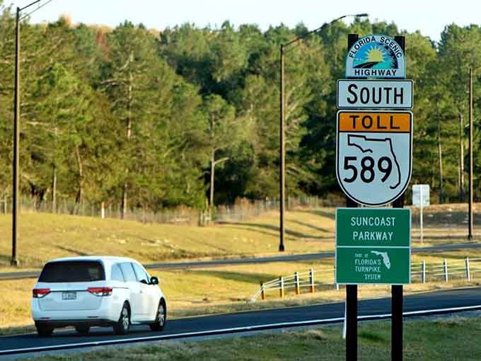 The Suncoast Parkway sign stands proud against pine trees, marking one of Florida's most underrated scenic routes.