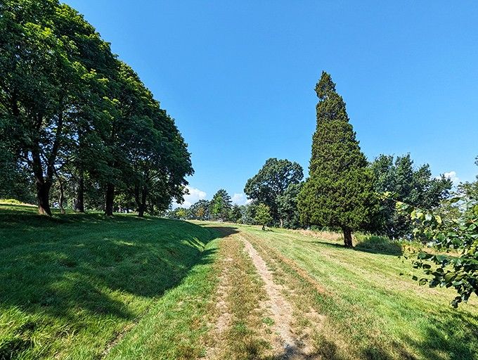 This grassy path winds between ancient trees like a yellow brick road to tranquility.