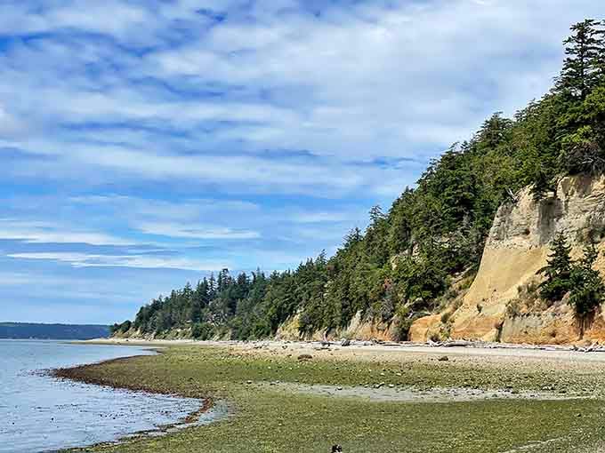 The layered bluffs tell geological stories spanning thousands of years, while below, the beach invites barefoot exploration and beachcombing.