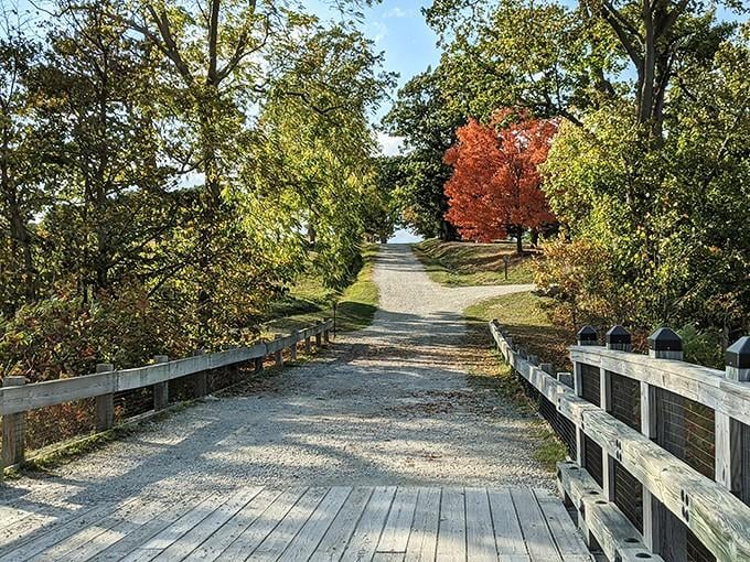 Wooden boardwalks guide visitors through fall foliage that burns brighter than Times Square neon.