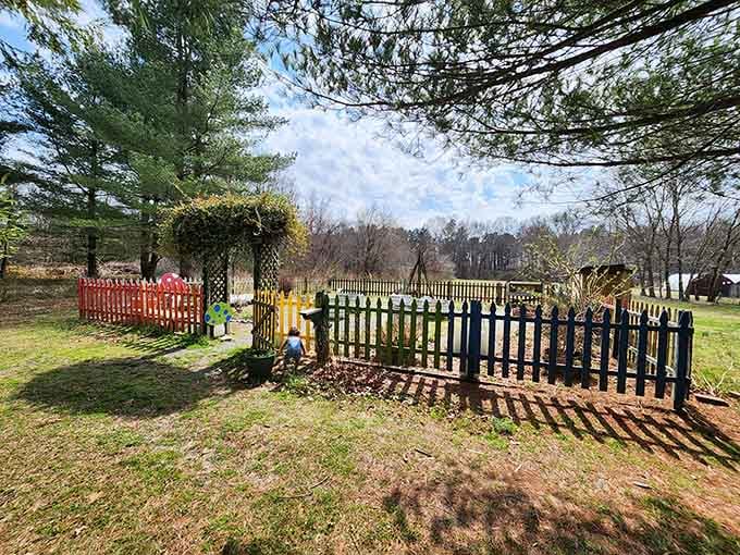 Colorful fenced gardens prove that native plants can be just as showy as any imported exotic species.