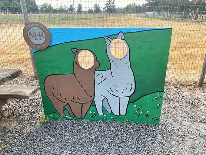 The photo op board exists because someone understood that people need proof this magical experience actually happened.