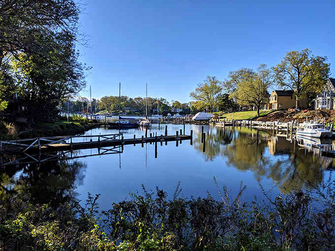 Quiet coves and private docks prove that waterfront living here is both an art and a lifestyle.