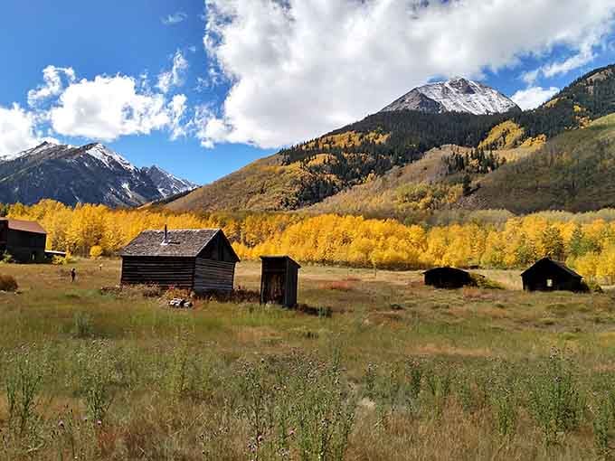 Ashcroft's weathered cabins stand against golden aspens, where ghost town history meets fall foliage in perfect harmony.