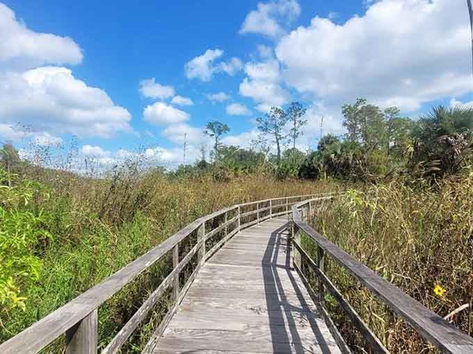 The boardwalk curves through prairie grasses, offering views that look like they belong in a nature documentary.