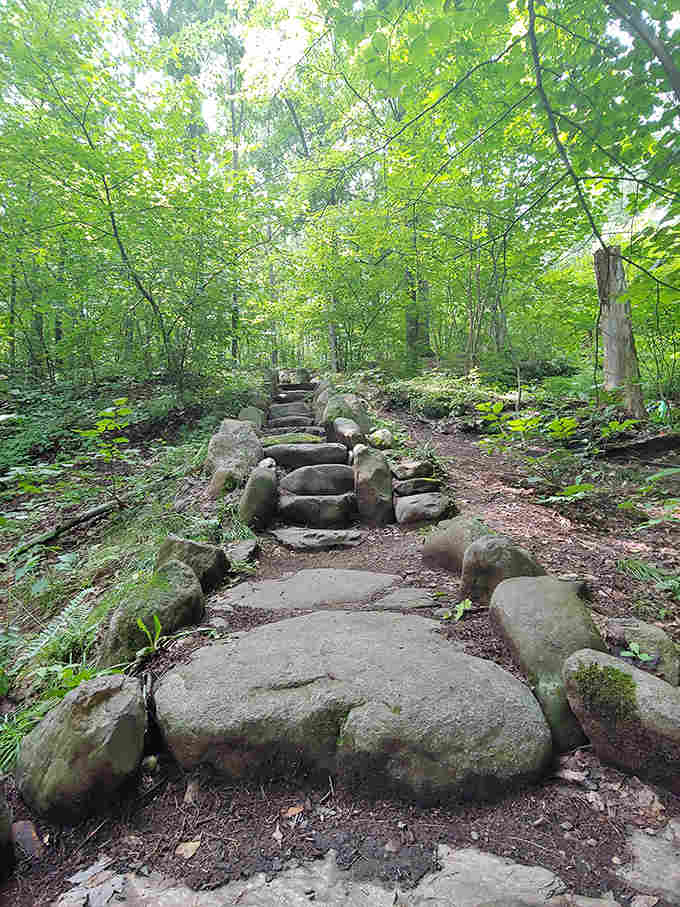 Stone steps lead hikers through varied terrain, proving that nature appreciates good infrastructure as much as we do.