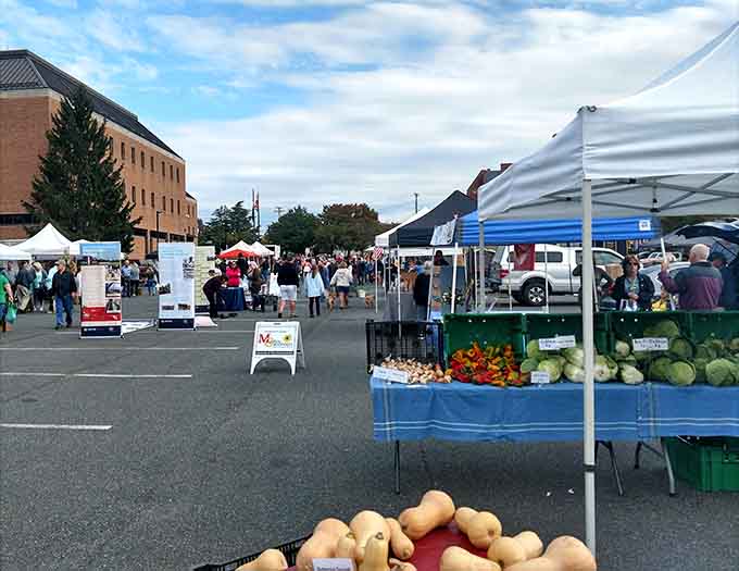 Fresh vegetables at the farmers market remind you that good food doesn't need to travel cross-country first.