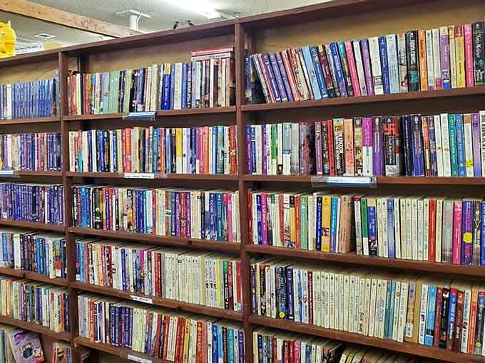 Books lined up like literary soldiers, each spine promising adventures, knowledge, or at least a pleasant afternoon escape.