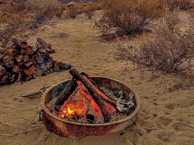 Evening campfires under desert stars, the original entertainment system, still undefeated after thousands of years.