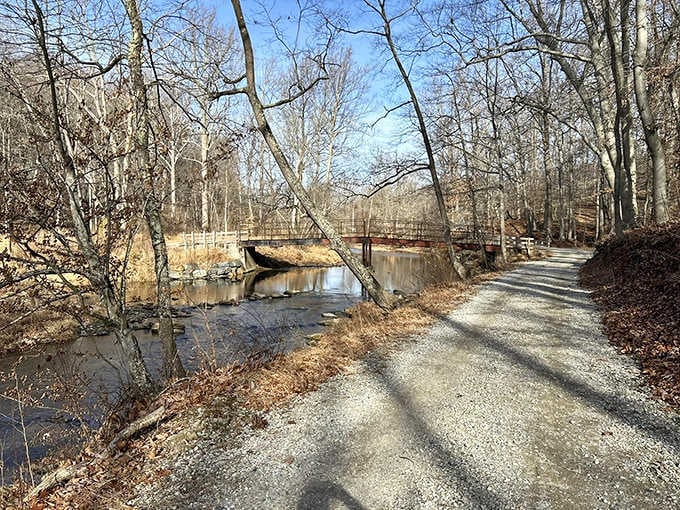 Another stretch of trail, another chance to let your mind wander while your feet handle the navigation duties automatically.