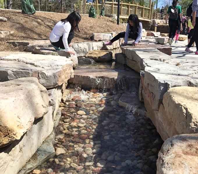 Kids building dams in this stream are learning engineering principles without realizing they're basically tiny construction workers having a blast.