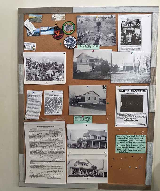 Historical photographs and documents trace the cavern's journey from hidden wonder to beloved attraction, connecting past visitors to present explorers.