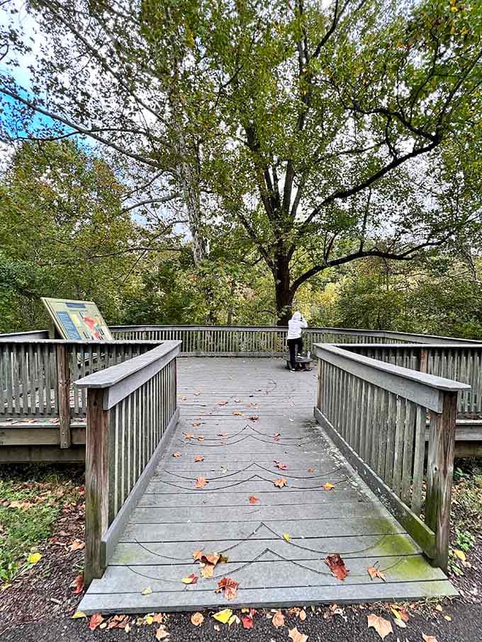 This observation deck offers front-row seats to nature's daily show, no ticket or reservation required for entry.
