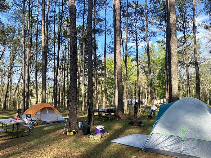 Tent camping under towering pines, because sometimes the best accommodations don't include room service or cable television.