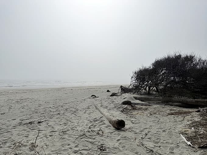Even on overcast days, the haunting beauty persists, proving this place doesn't need sunshine to shine.