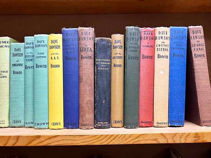 Vintage hardbacks with spines showing their age like distinguished gentlemen who've earned every wrinkle and weathered edge beautifully.