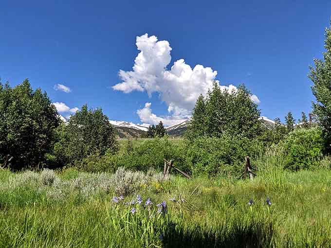 Summer wildflowers and dramatic clouds create the quintessential Colorado backdrop that postcards try desperately to capture but rarely match.