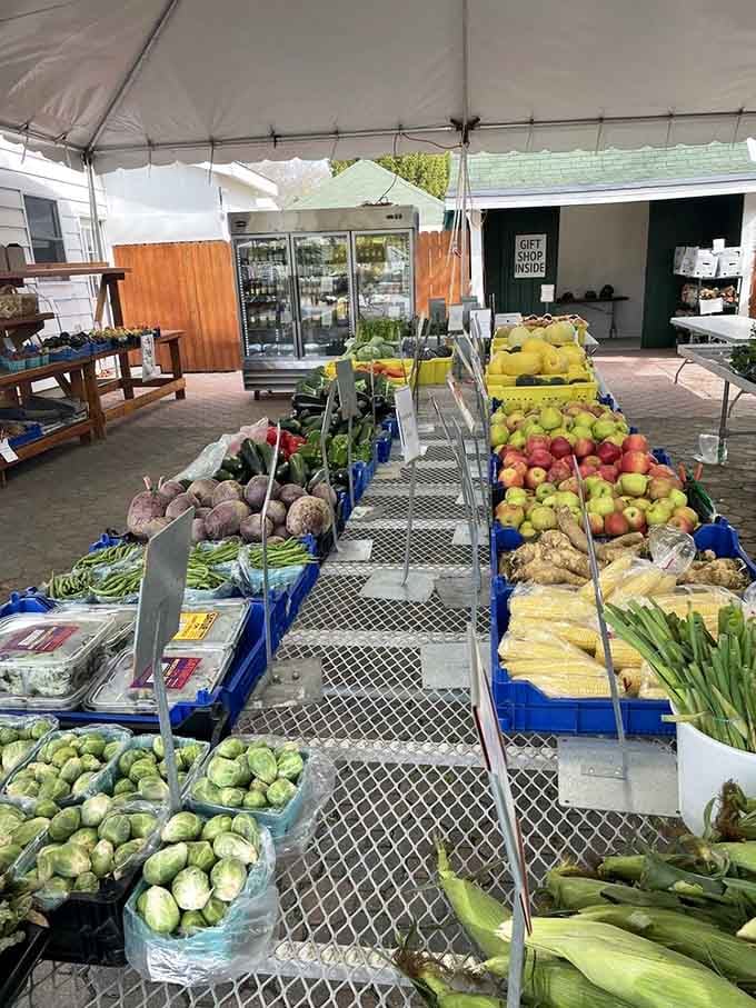 The outdoor farm stand setup under that tent is where the magic happens, rain or shine, pie season after pie season.