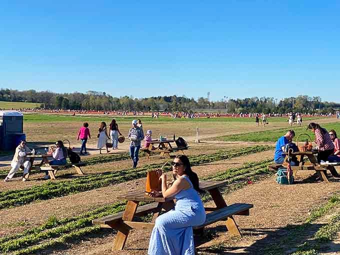 Picnic tables dot the grounds, providing the perfect spot to rest and contemplate your excellent life choices.