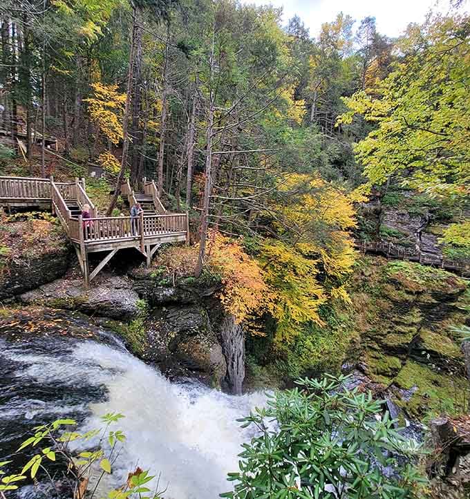 That wooden observation deck puts you front row for nature's longest-running show, no intermission needed or wanted.