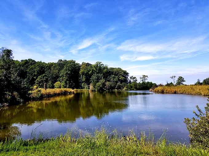 Tranquil waters reflecting endless sky, the kind of scene that makes you forget what day it is.