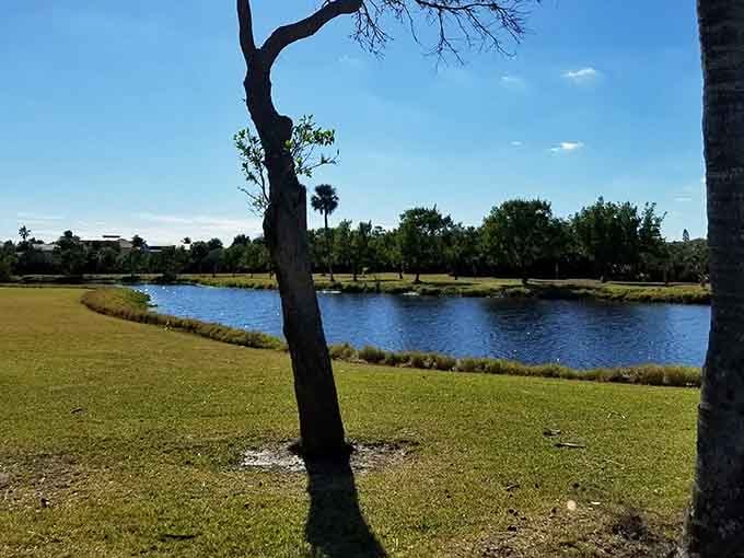 That little pond reflects the sky like it's auditioning for a nature documentary.