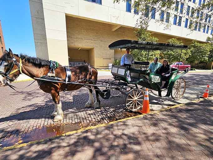 Creating memories that'll outlast your phone's battery life, one clip-clop at a time through historic squares.