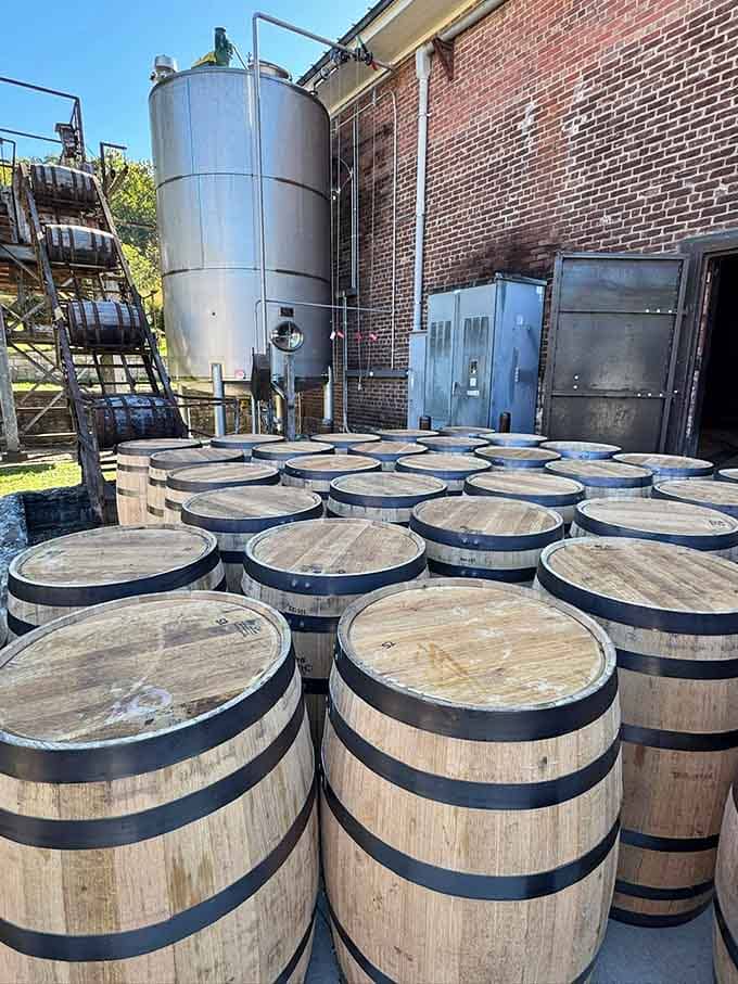 Fresh barrels wait to be filled with new-make spirit, starting their patient journey toward becoming something worth savoring slowly.
