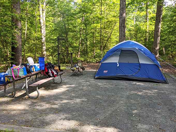 Camping sites offer genuine seclusion where your neighbors are trees, not people with loud generators.