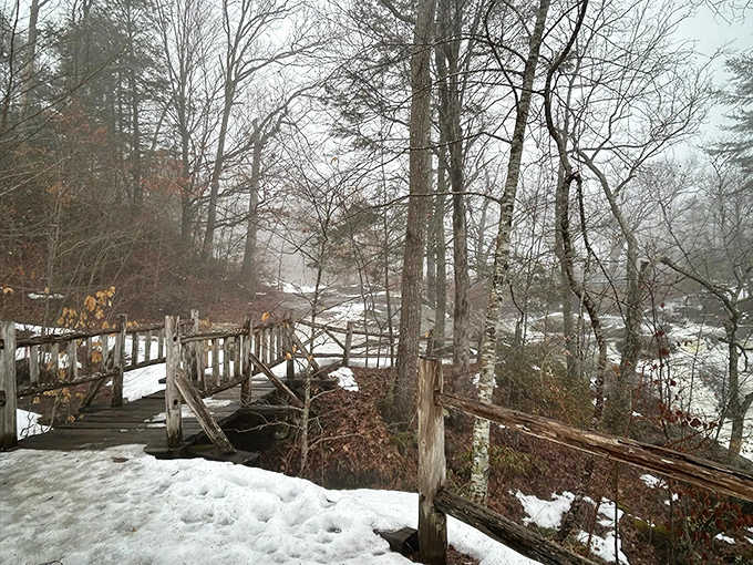 Even in winter's grip, the water keeps flowing, proving nature doesn't believe in taking the season off completely.
