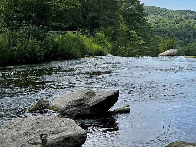 Downstream from the falls, the creek creates peaceful pools perfect for quiet contemplation and excellent photo opportunities.