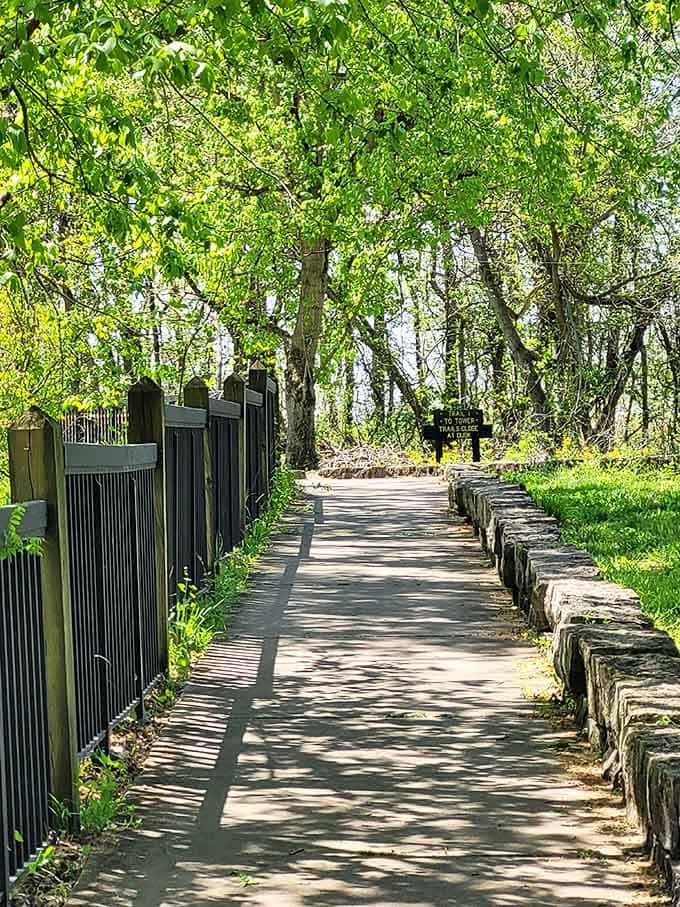 A peaceful pathway that proves the journey really can be just as rewarding as the destination itself.