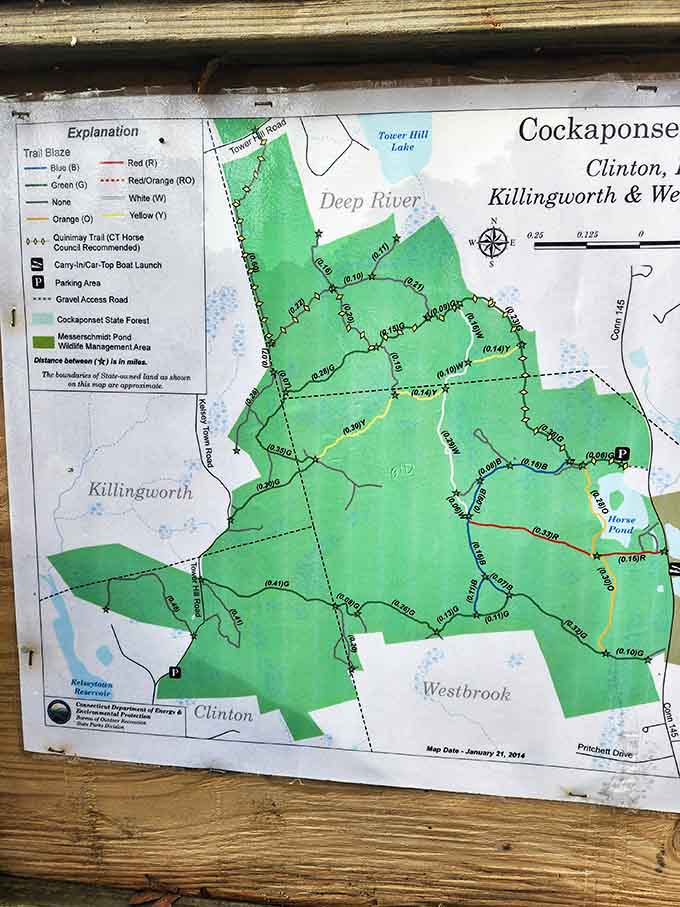 Trail maps show the impressive network of paths crisscrossing this 16,000-acre playground for outdoor lovers everywhere.