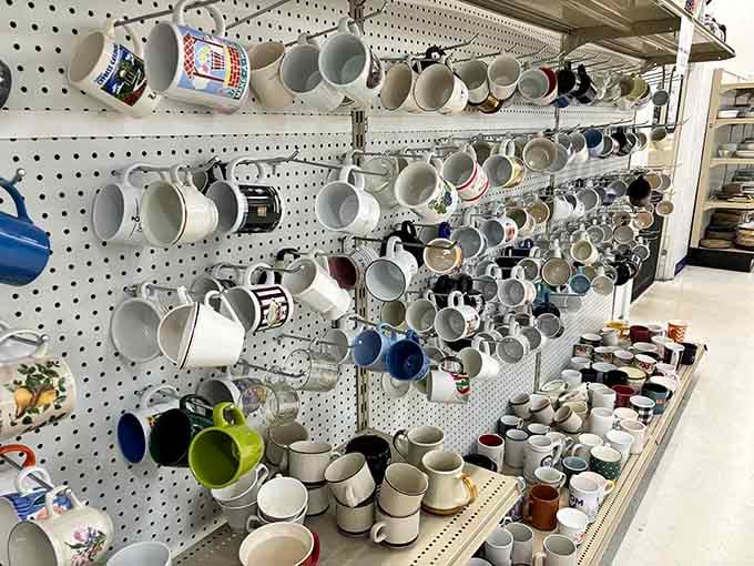 Coffee mugs in every color and design imaginable, because collecting ceramic vessels is apparently a universal human condition.